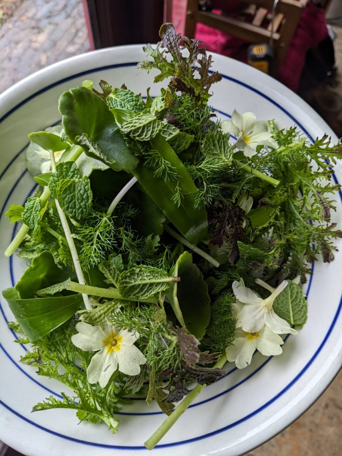 Earthbound | Surfside & Rum Bar