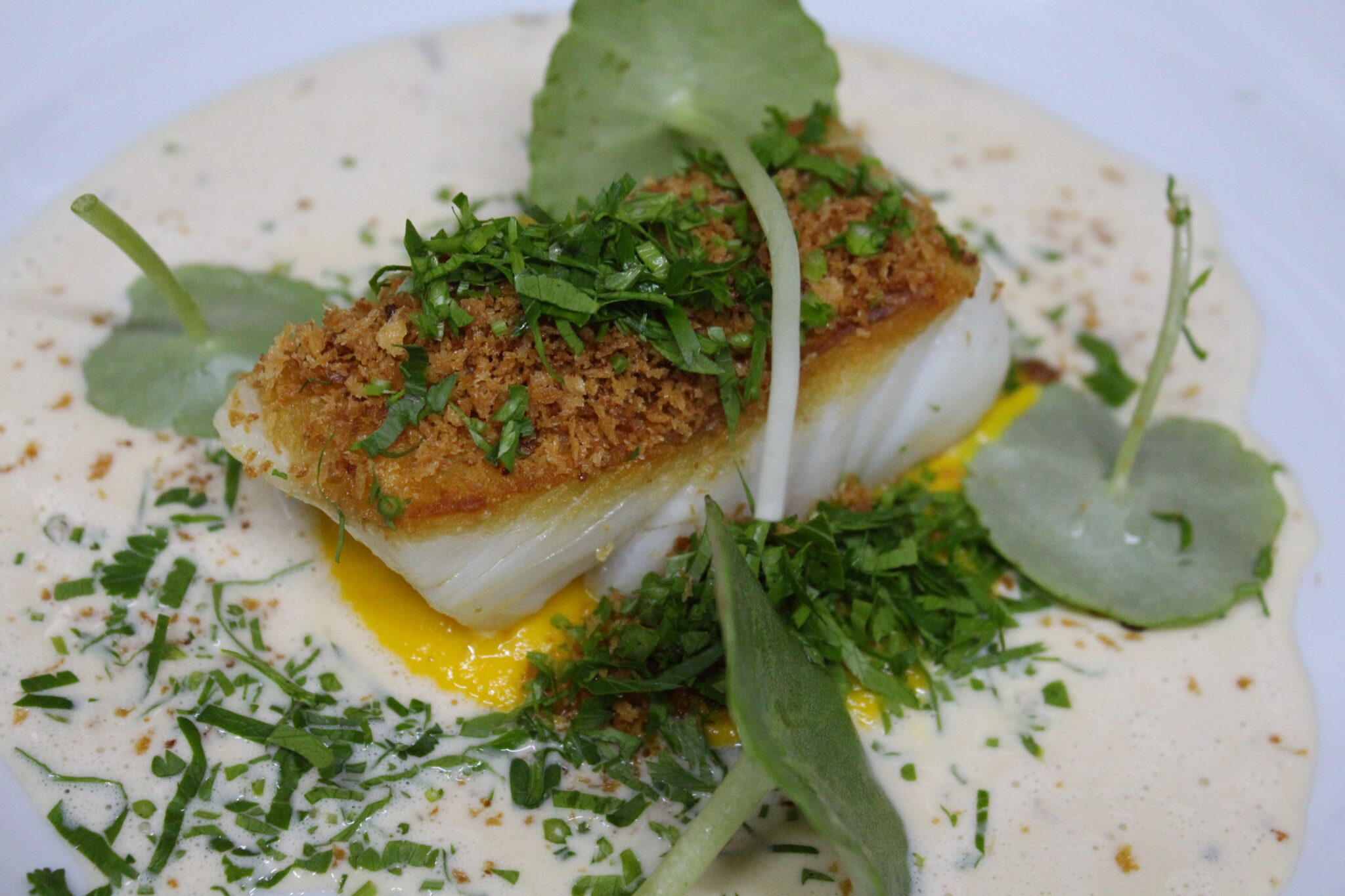 Earthbound | Surfside & Rum Bar